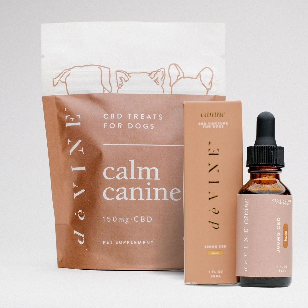 deVINE Canine Collection – devine